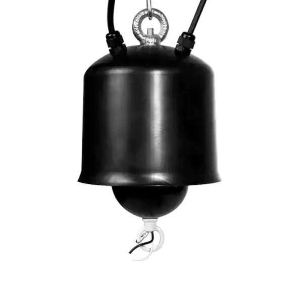 Foyer Luminaire Lift Electric Lighting Fixture Hoist