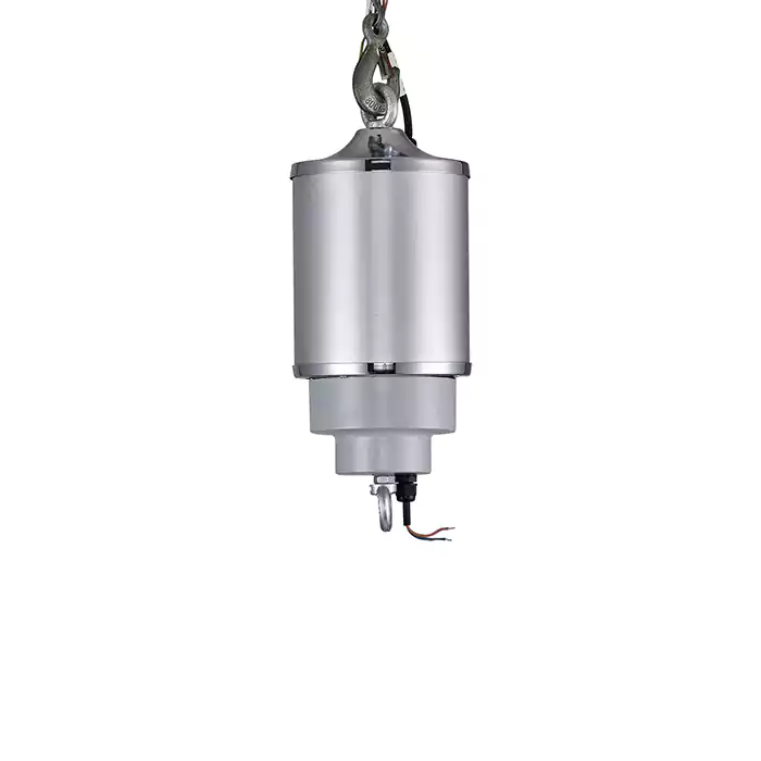 Motorized Lighting Lifter System Manufacturer